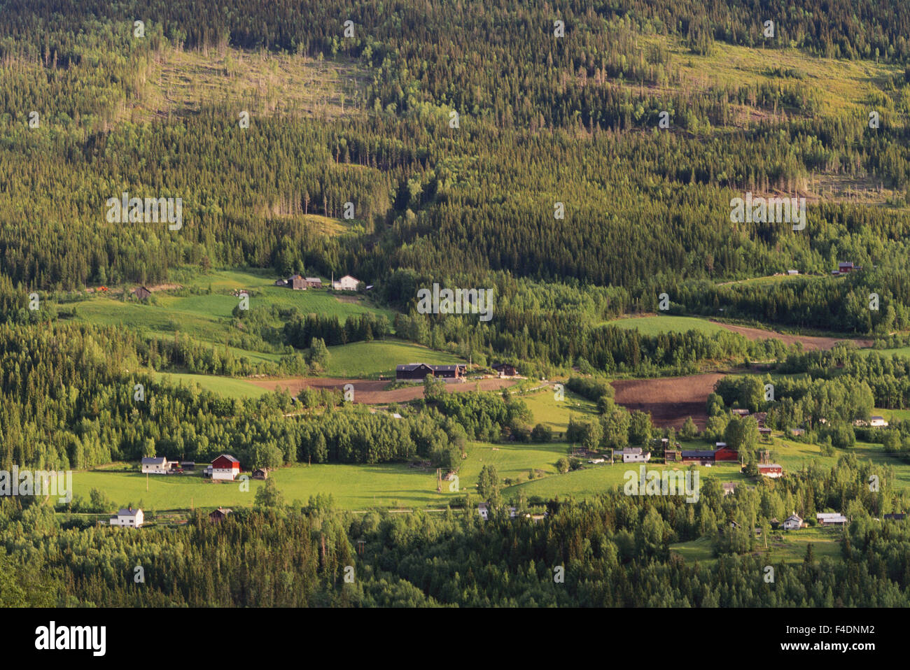 Gudbrandsdalen Stock Photos & Gudbrandsdalen Stock Images - Alamy