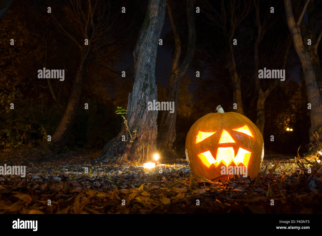 The photograph shows a pumpkin on Halloween Stock Photo - Alamy
