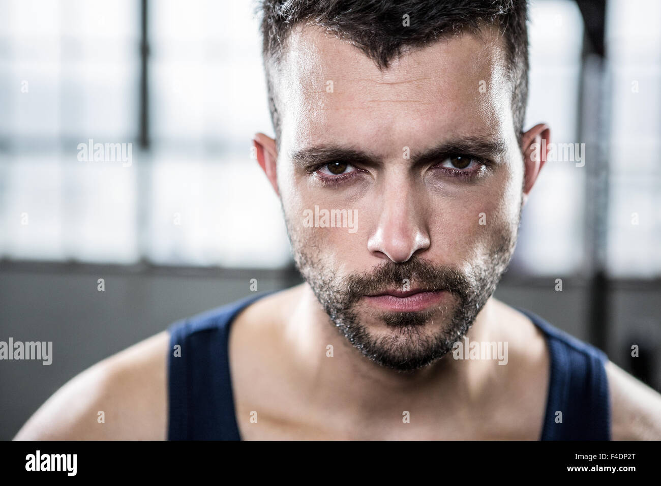 Attractive man muscles looking hi-res stock photography and images - Alamy