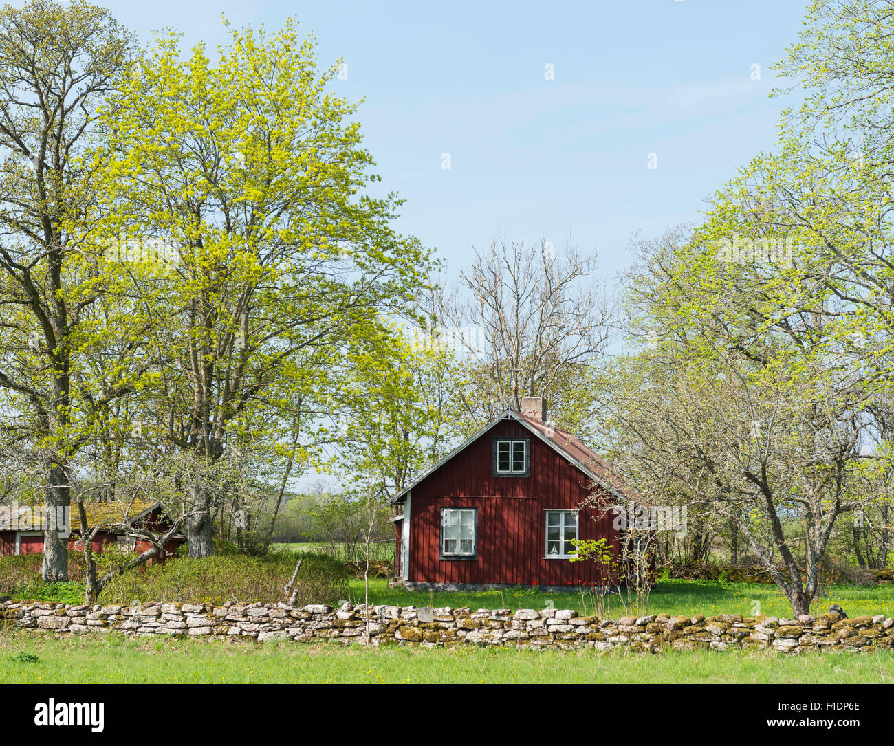 Cottage at springtime, Sweden Stock Photo - Alamy