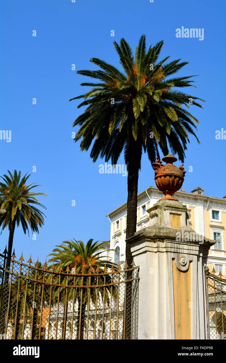 Palm trees in the grounds of a grand building in Rome Italy Stock Photo ...