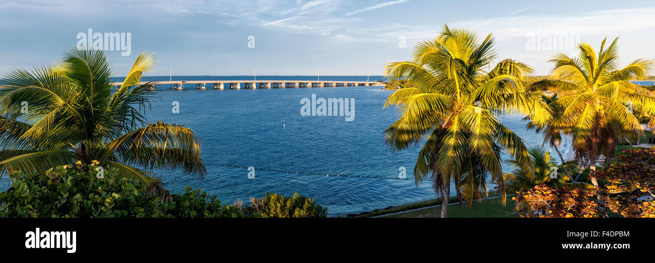 View of Overseas Highway framed by palm trees from historic Rail Bridge ...