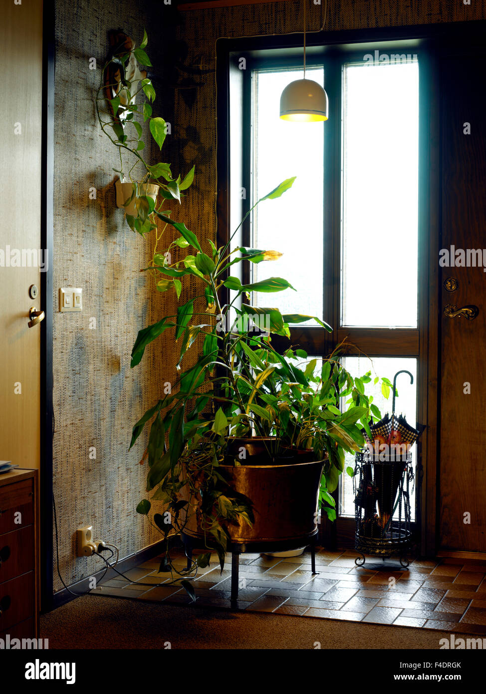 A plant in a hall Stock Photo - Alamy