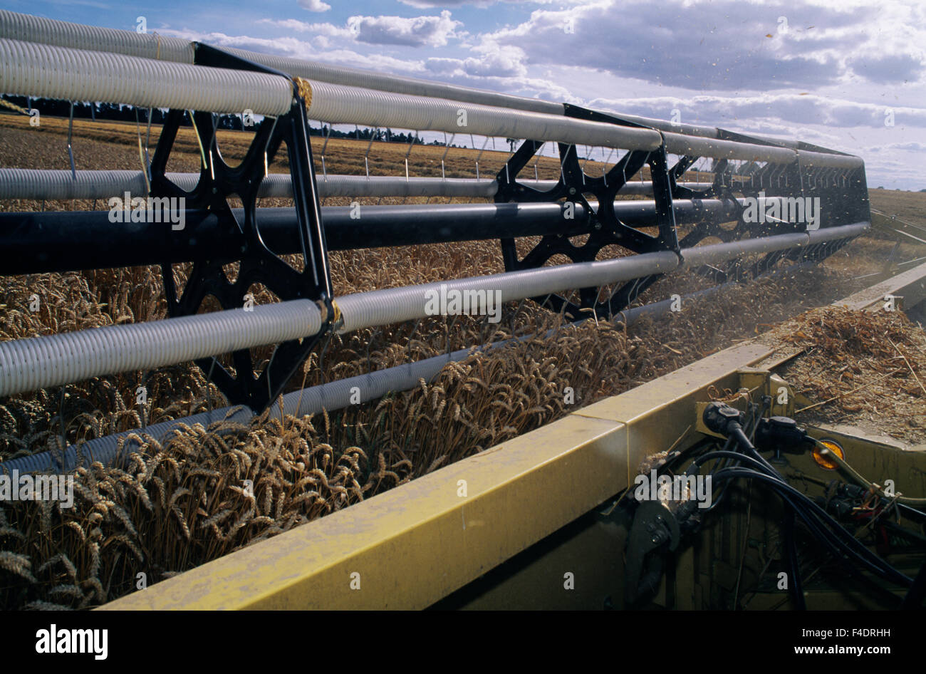 Harvesting crops with farm machine, side view Stock Photo - Alamy
