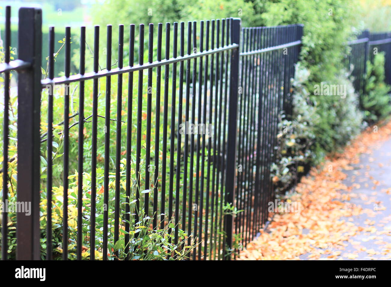 Black railing fence going off in the distance Stock Photo - Alamy