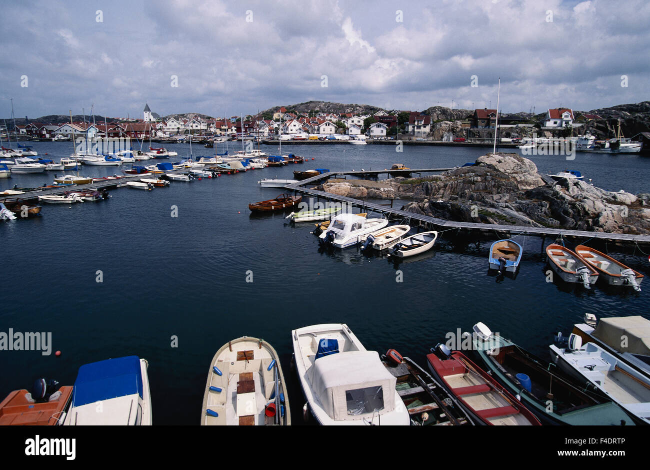 Sweden, Boluslan, Kladesholmen, Close-up of bird. (Large format sizes ...