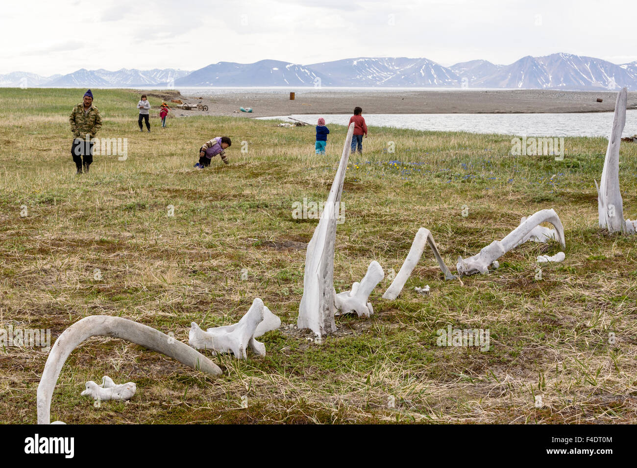 Ceremonial animal hi-res stock photography and images - Alamy