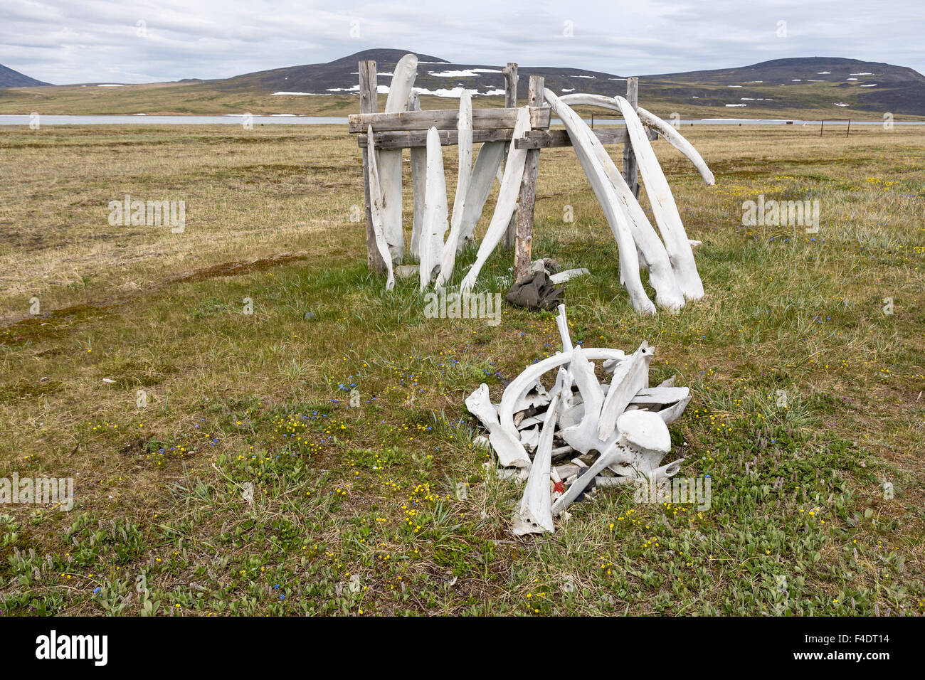 Russia, Chukotka, Yanrakynnot, Structure made of whale skeleton in ...