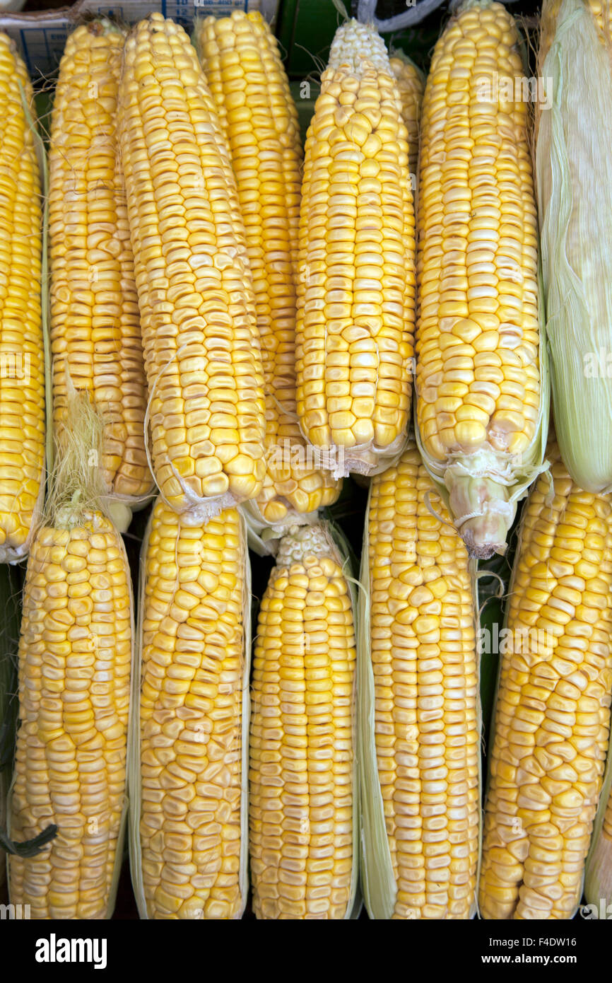 Sweetcorn Background on Market Stall Stock Photo - Alamy