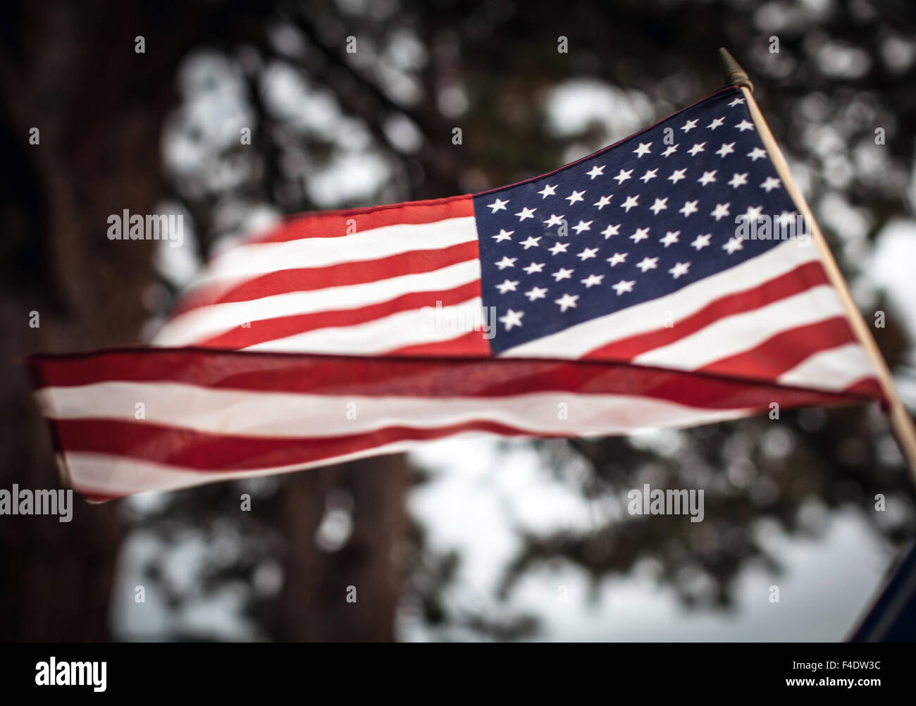 The American Flag Stock Photo - Alamy