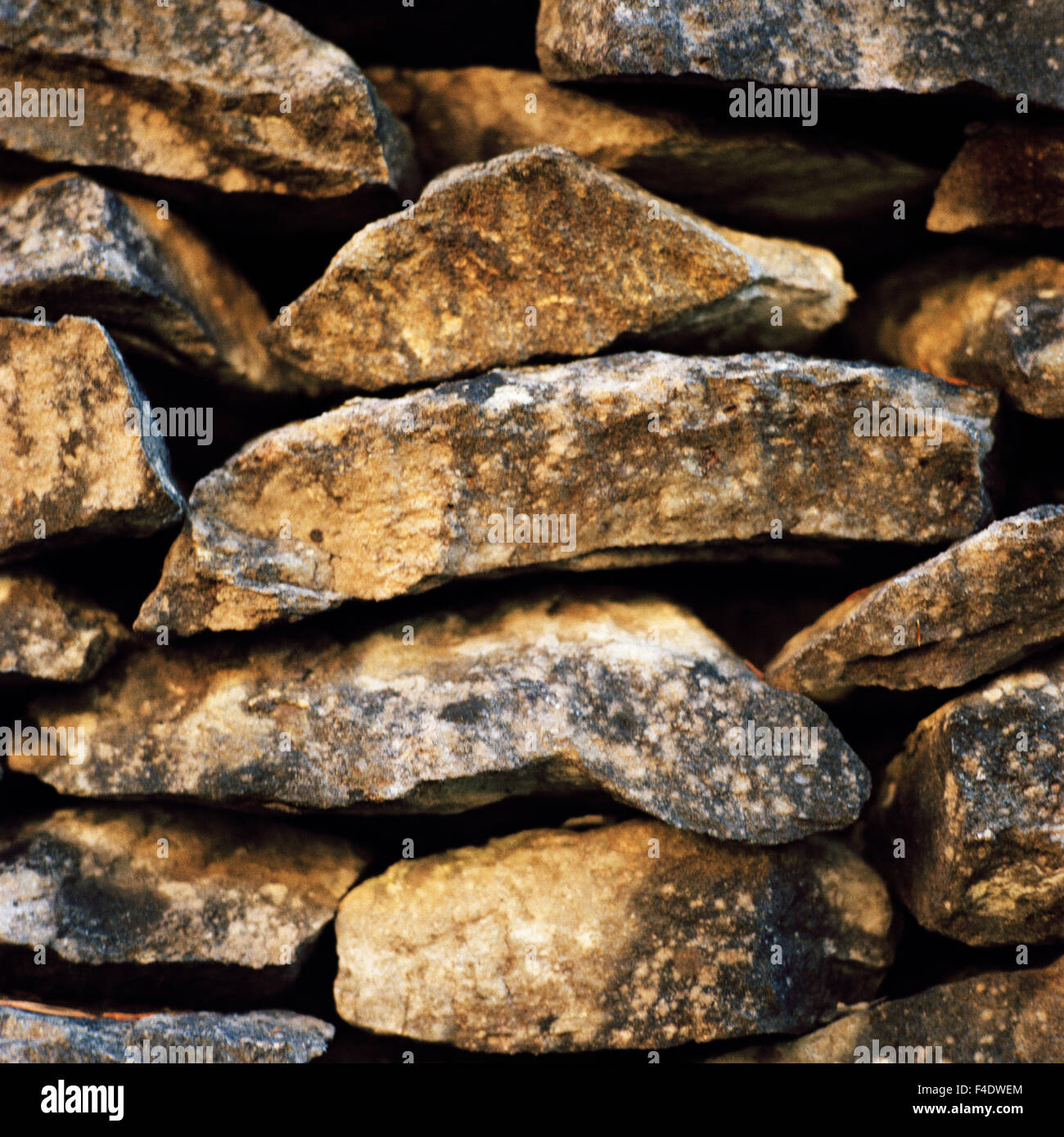 Kolmarden ostergotland sweden hi-res stock photography and images - Alamy