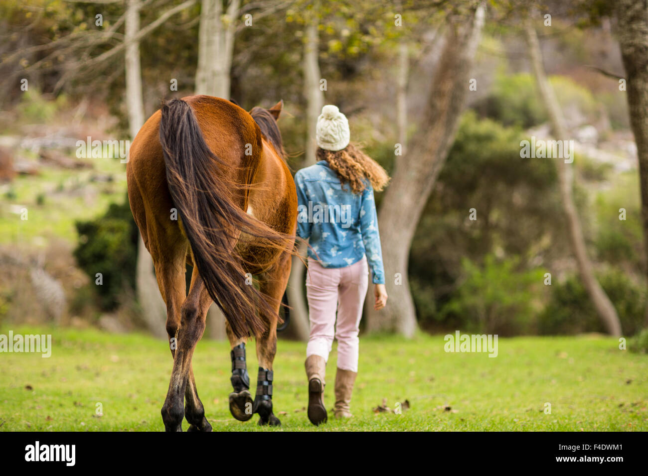 Walking and horse riding hi-res stock photography and images - Alamy
