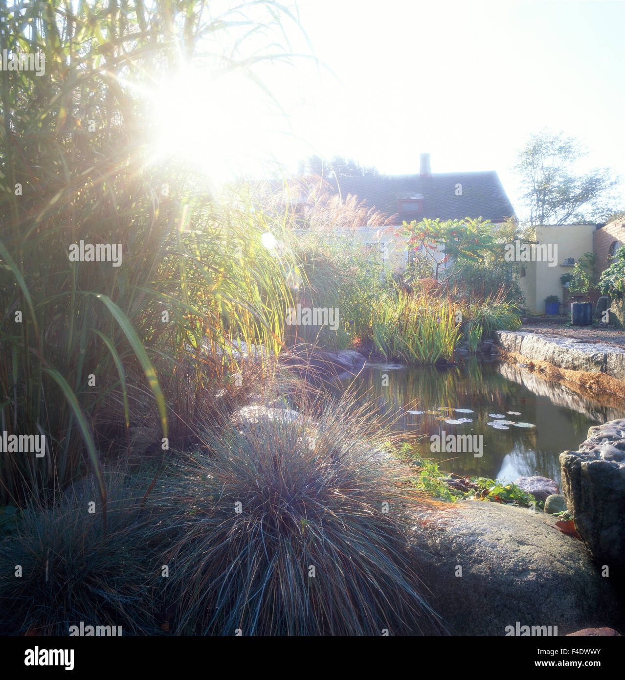 Sunlight over garden Stock Photo - Alamy