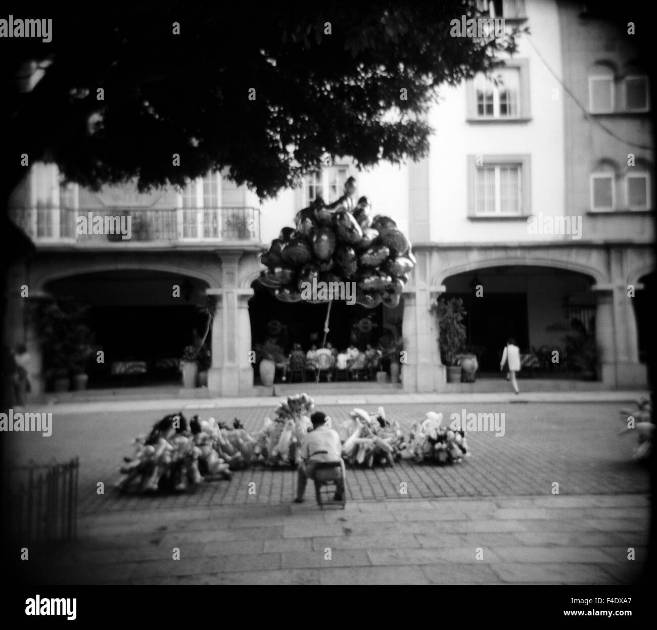 Tree on city square Black and White Stock Photos & Images - Alamy