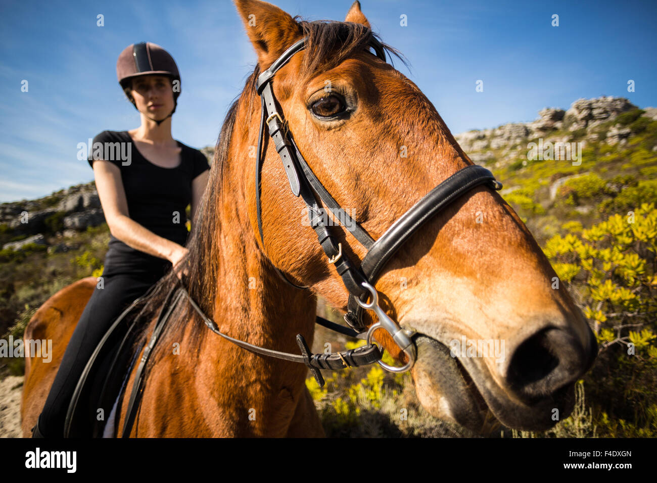 Young happy woman riding her horse Stock Photo - Alamy