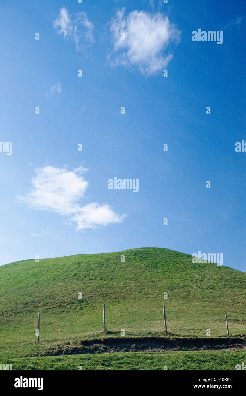 Low view path grass front view hi-res stock photography and images - Alamy
