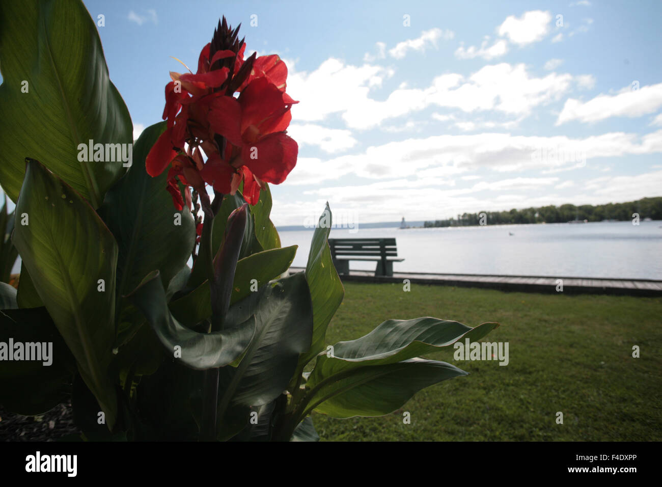 The Baddeck Bay in Nova Scotia Stock Photo - Alamy