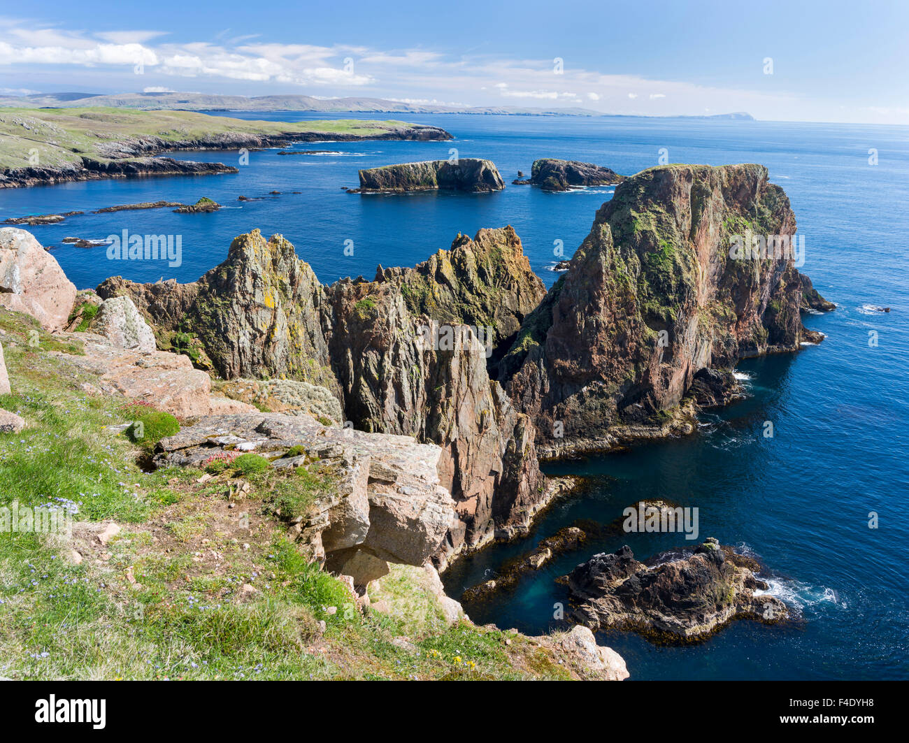 The cliffs between Silwick and Westerwick, with Fitful Head in the ...