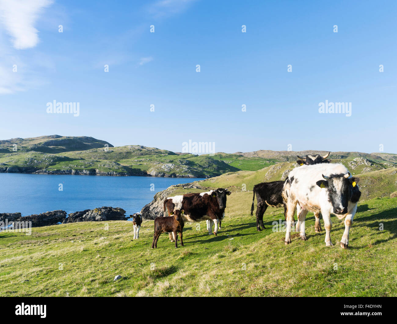 Burrafirth shetland isles hi-res stock photography and images - Alamy