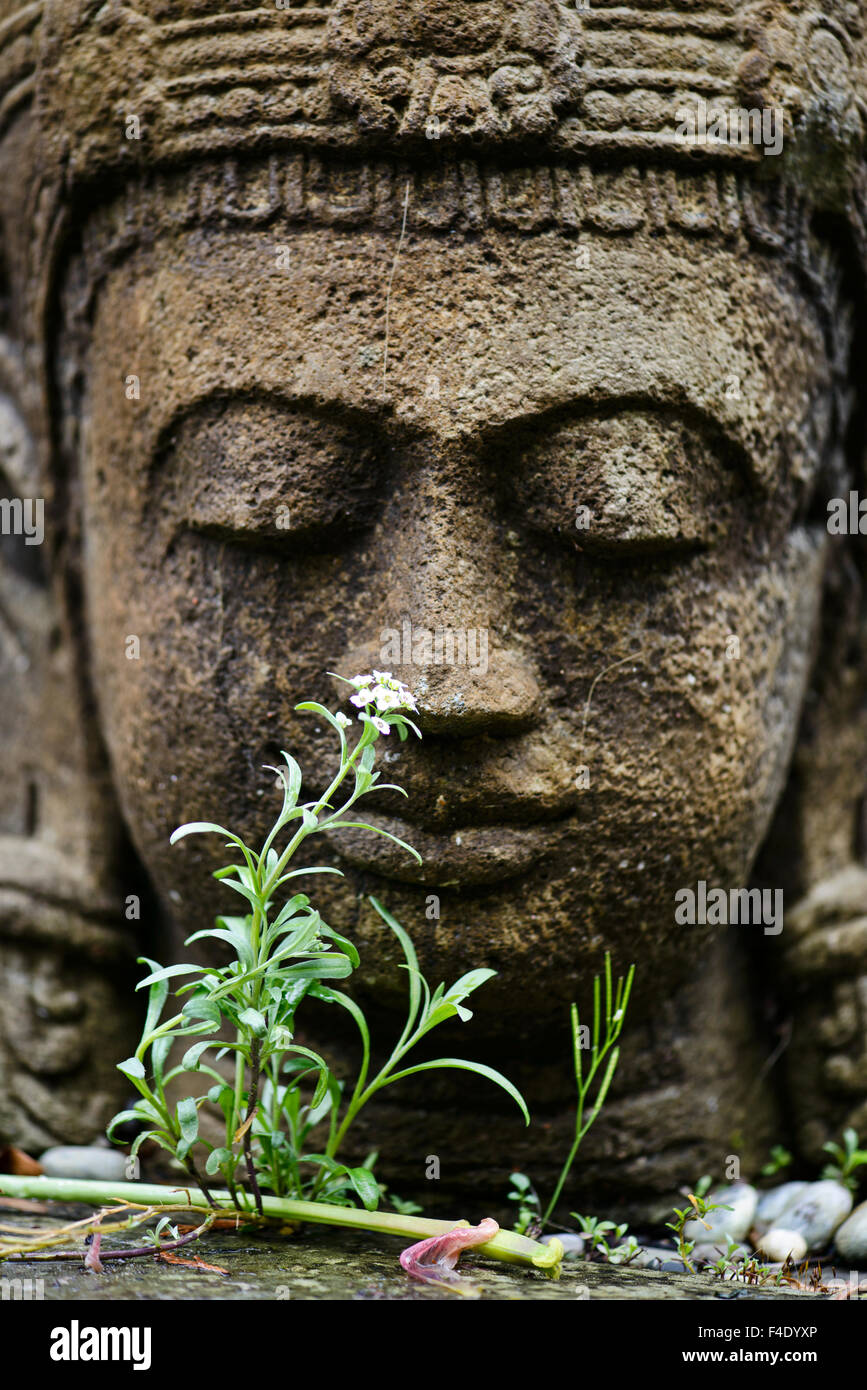 Stone garden statue with flower. (Large format sizes available Stock ...