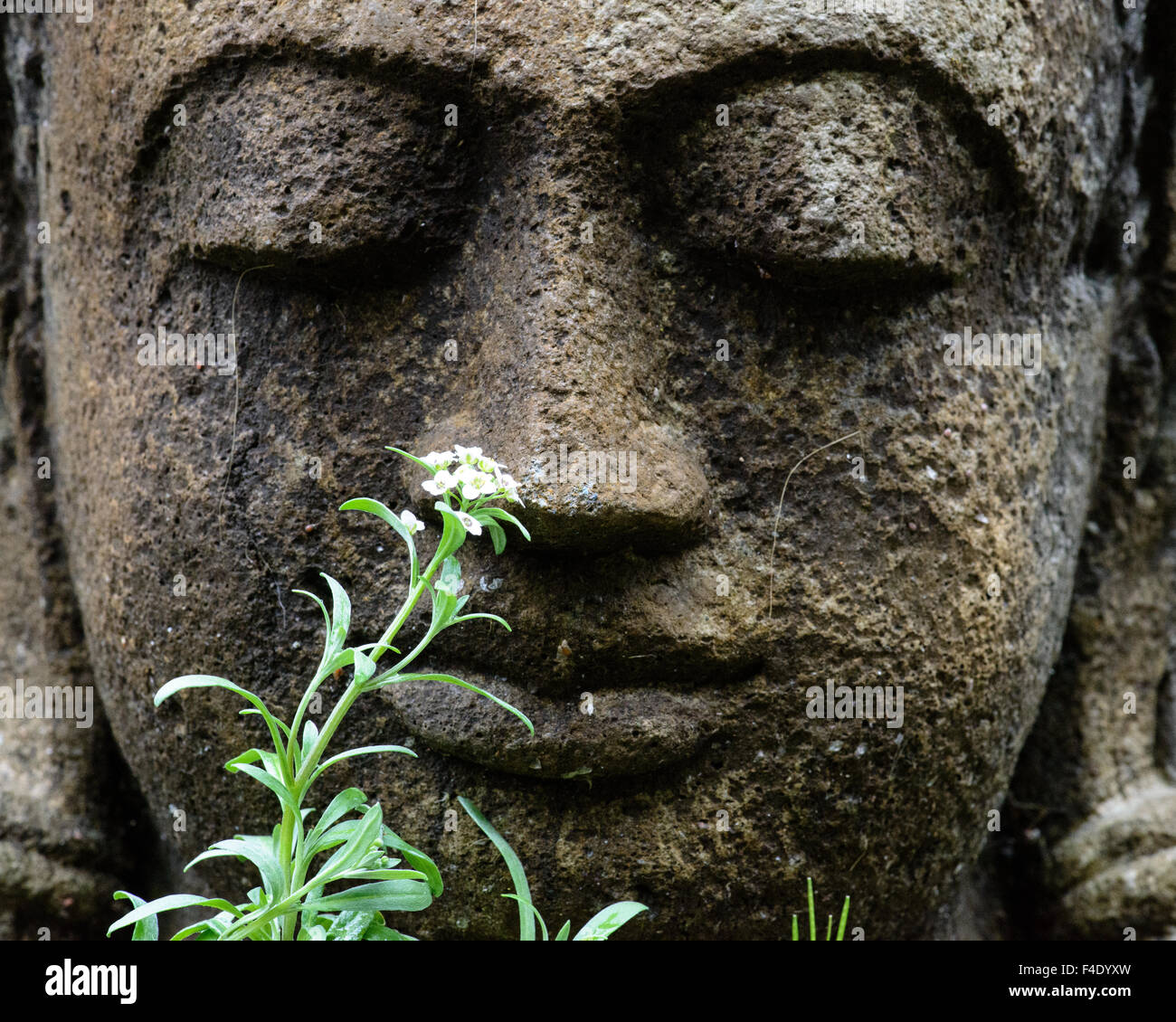 Stone garden statue with flower. (Large format sizes available Stock ...