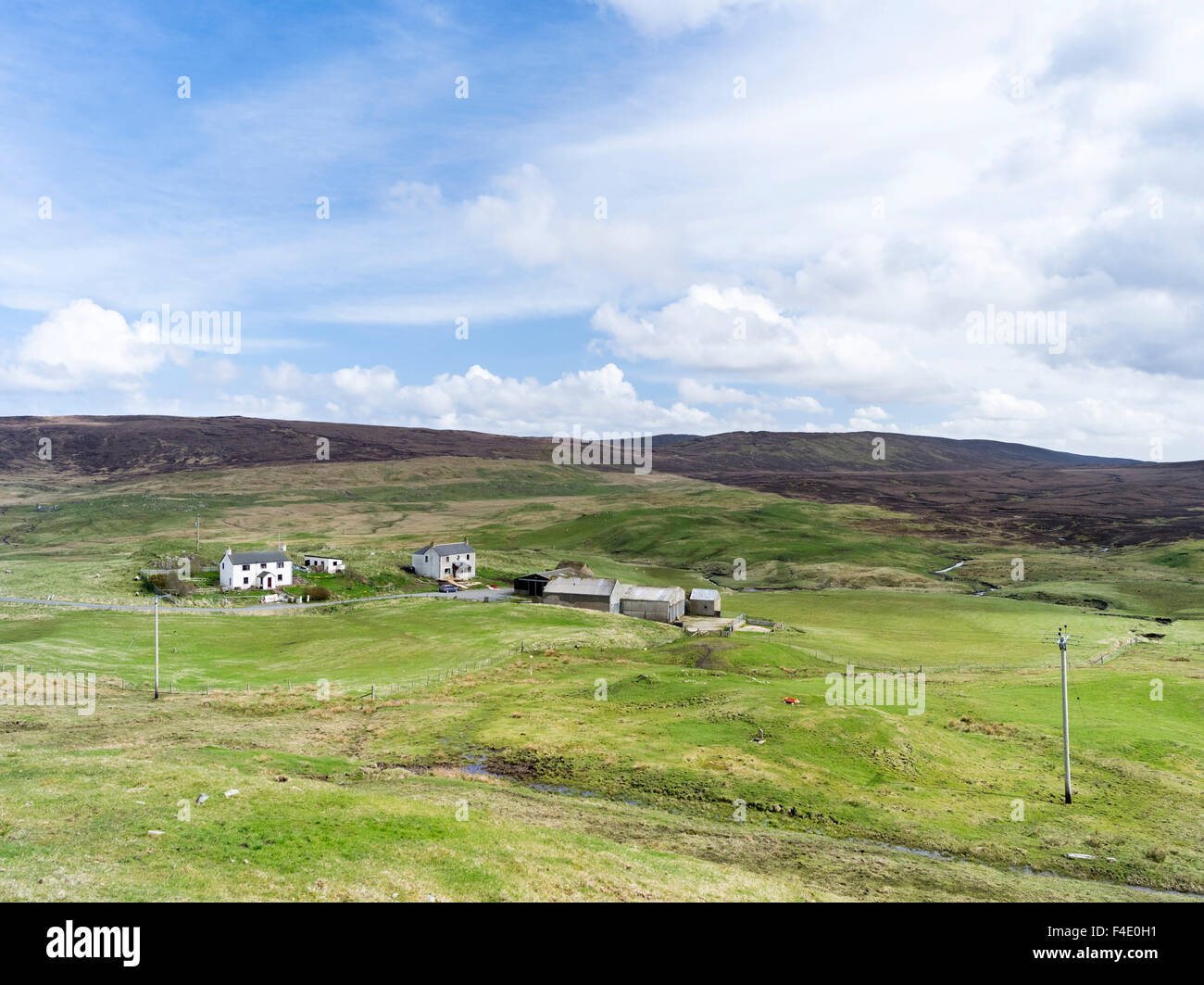 Farm on rural Shetland. Shetland, Scotland, Great Britain (Large format ...