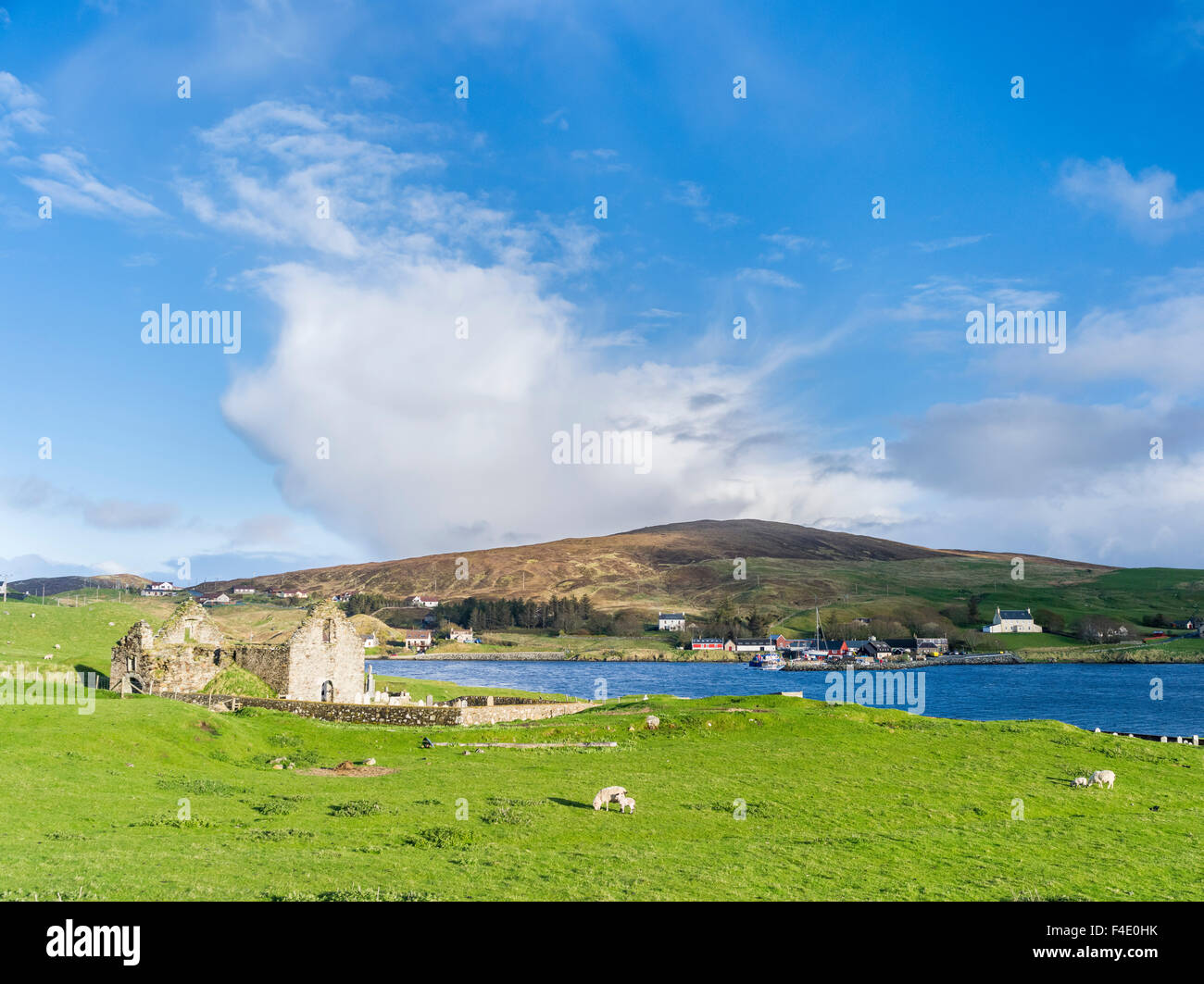 Olna firth hi-res stock photography and images - Alamy