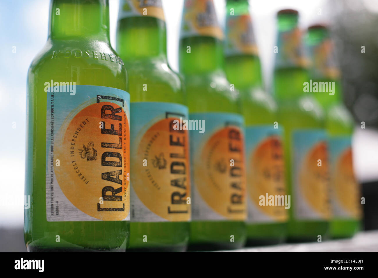 Bottles of Moosehead Radler lined up on a sunny day in Nova Scotia ...