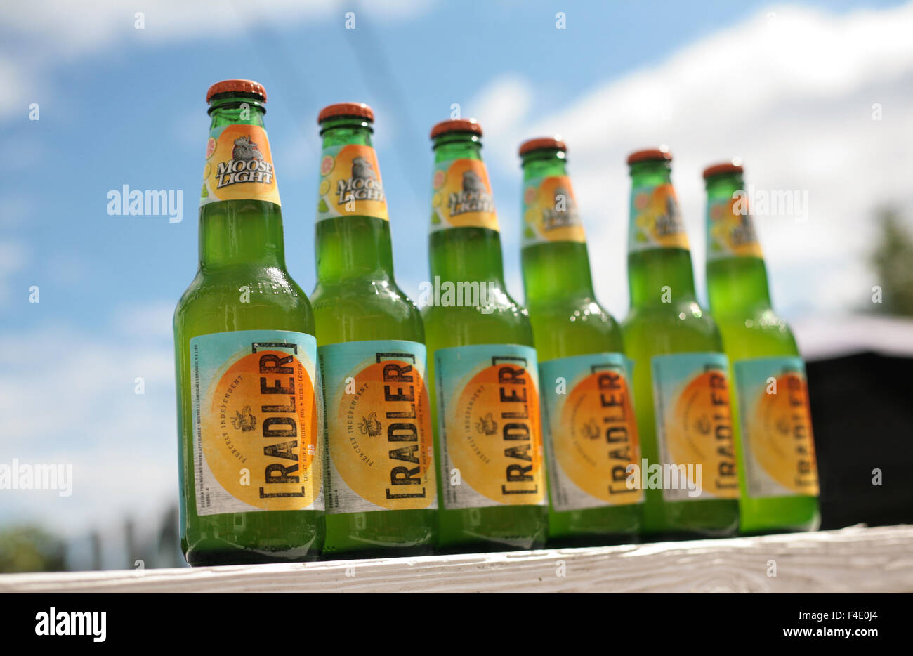 Cape breton moose nova scotia hi-res stock photography and images - Alamy