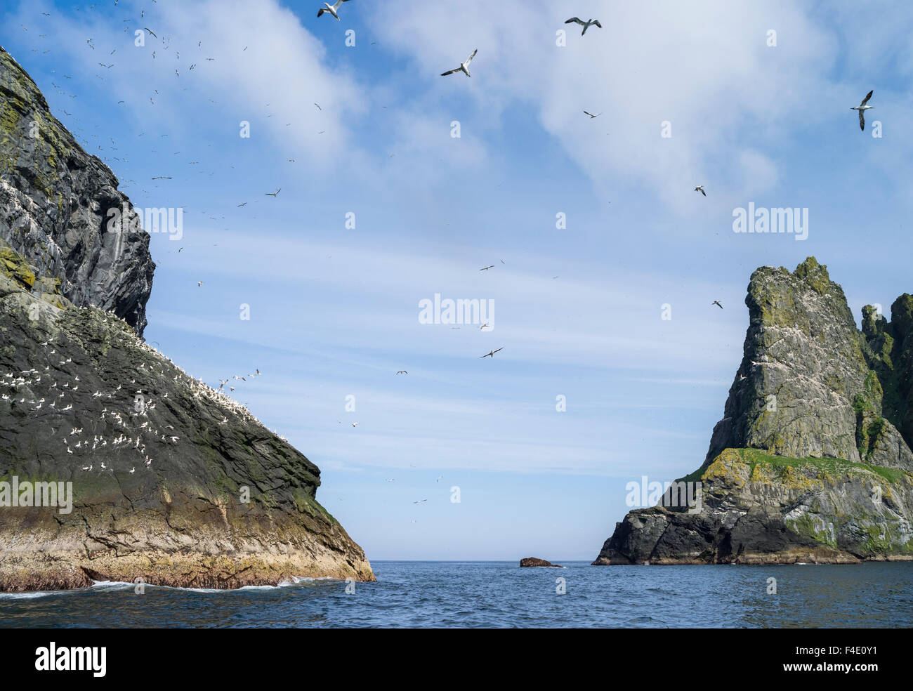 The islands of St Kilda archipelago in Scotland. Island of Boreray and ...