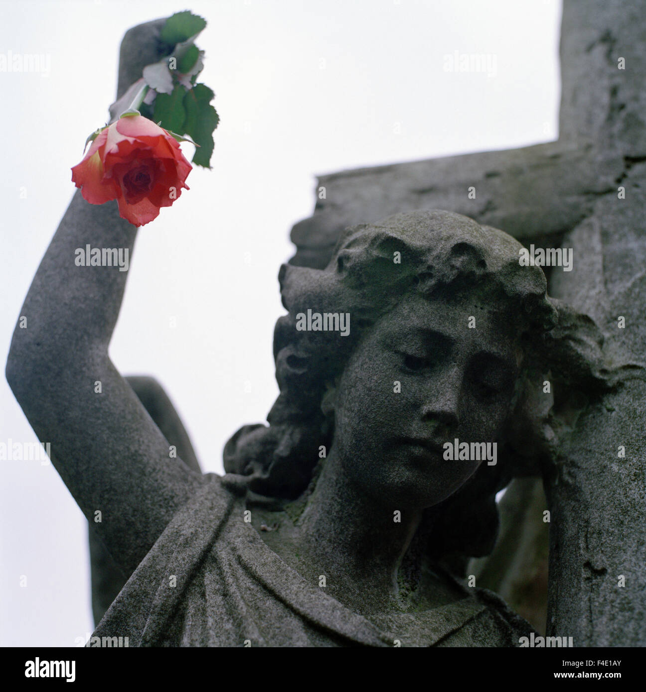 A statue with a red rose, London, Great Britain Stock Photo - Alamy