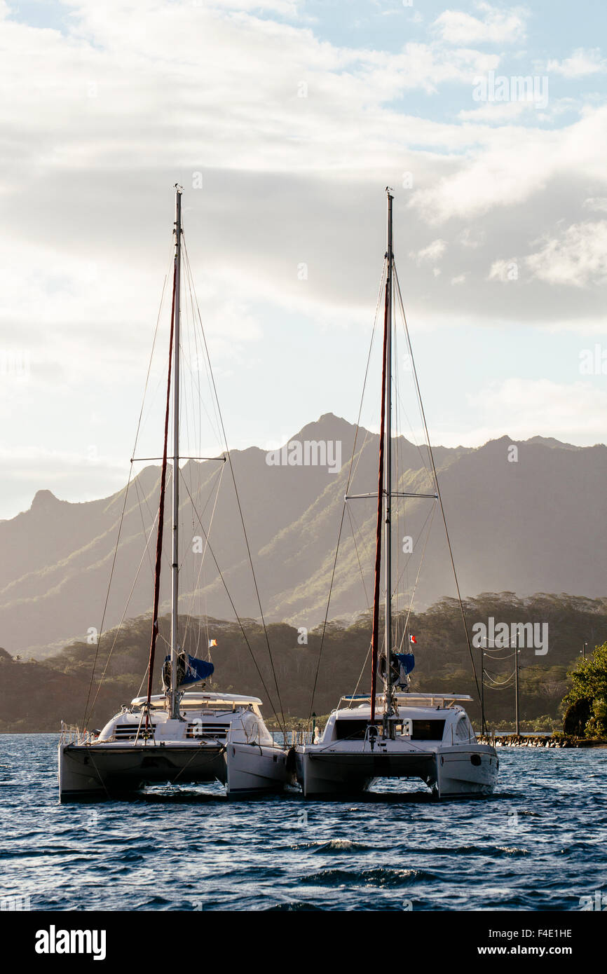 Pacific Ocean, French Polynesia, Society Islands, Raiatea. Two ...