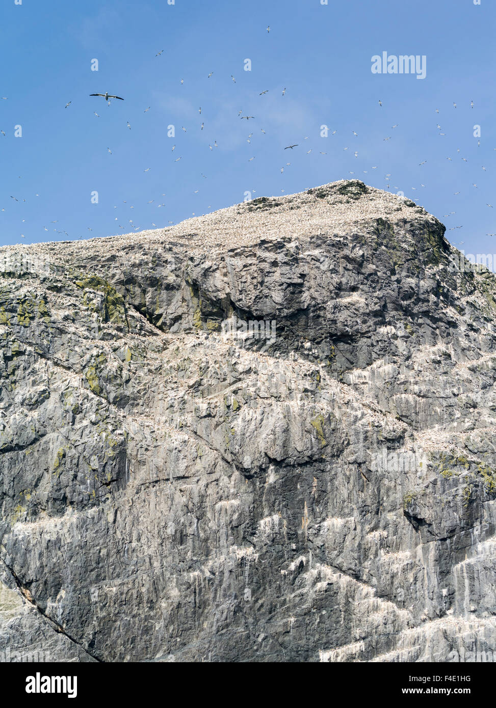 The islands of St Kilda archipelago in Scotland. Stac Lee having the ...