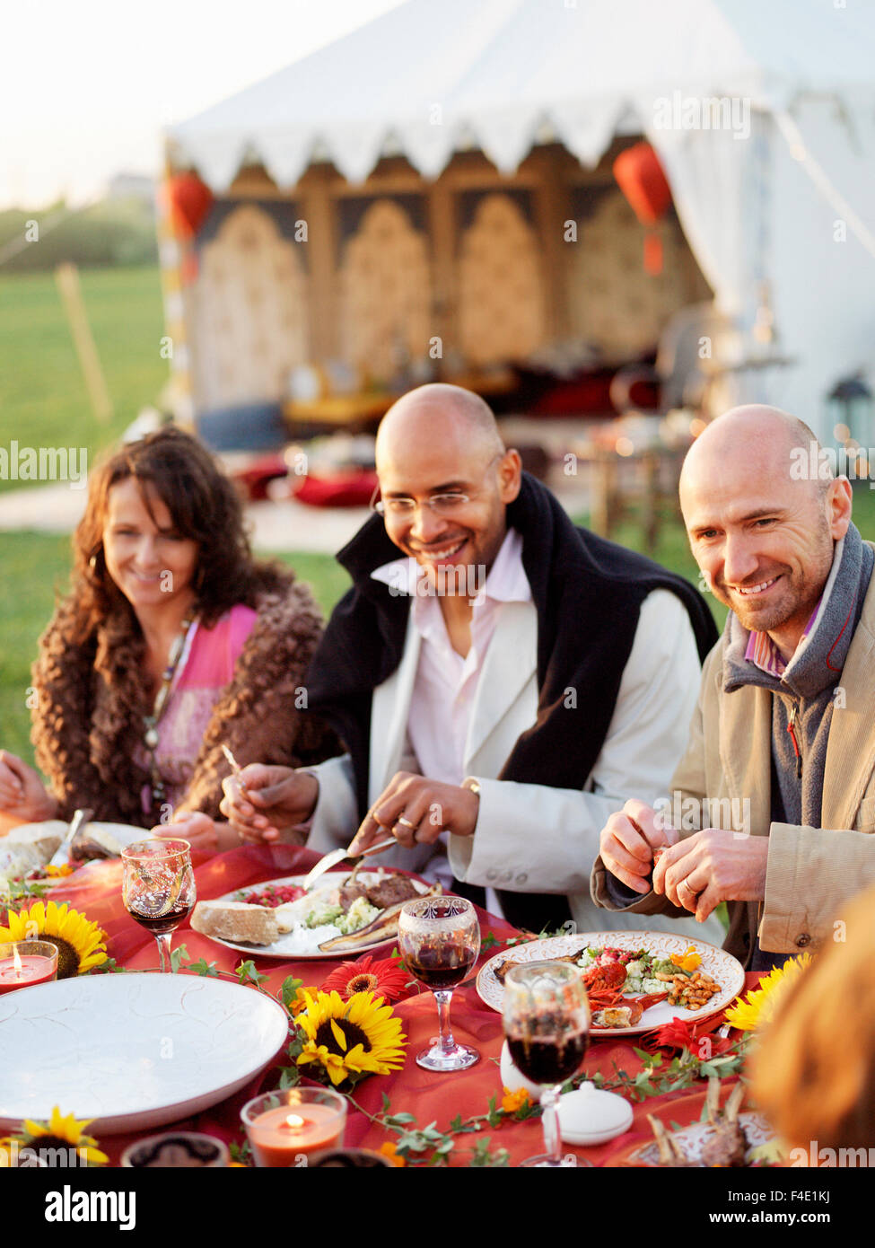 Dinnerparty in a field, Sweden Stock Photo - Alamy