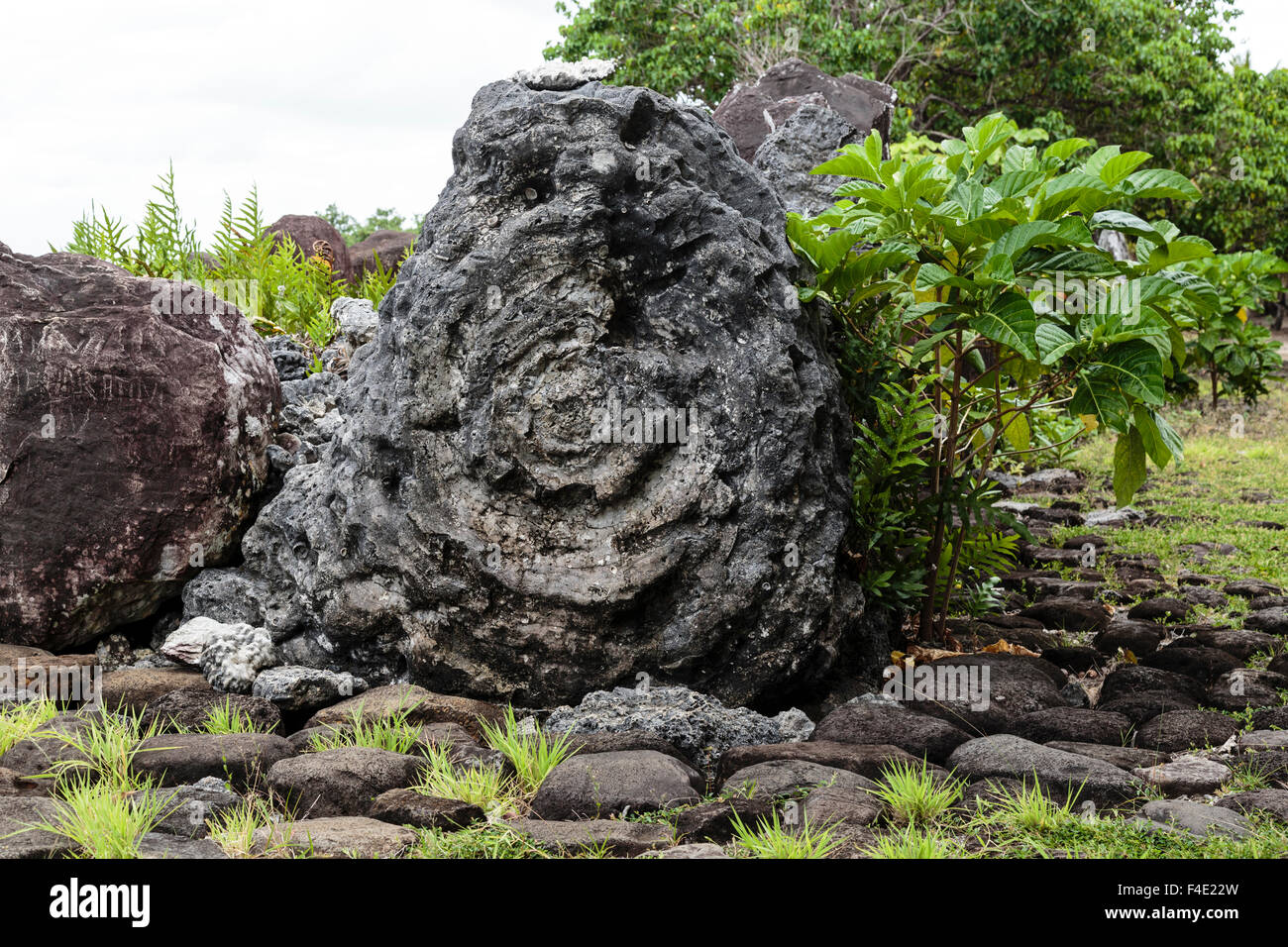 Pacific Ocean, French Polynesia, Society Islands, Raiatea. Worship ...