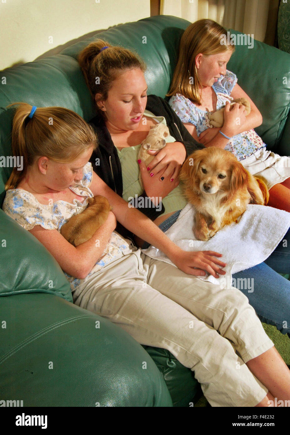 Identical twin sisters and their older sibling play with newborn ...