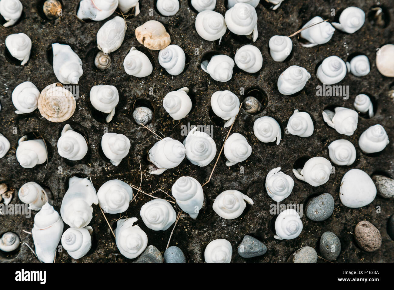 Taputapuatea marae raiatea society islands hi-res stock photography and ...