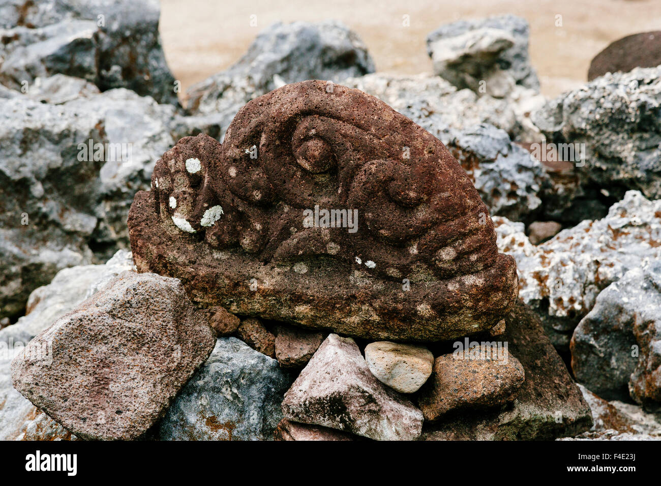 Pacific Ocean, French Polynesia, Society Islands, Raiatea. Fish worship ...