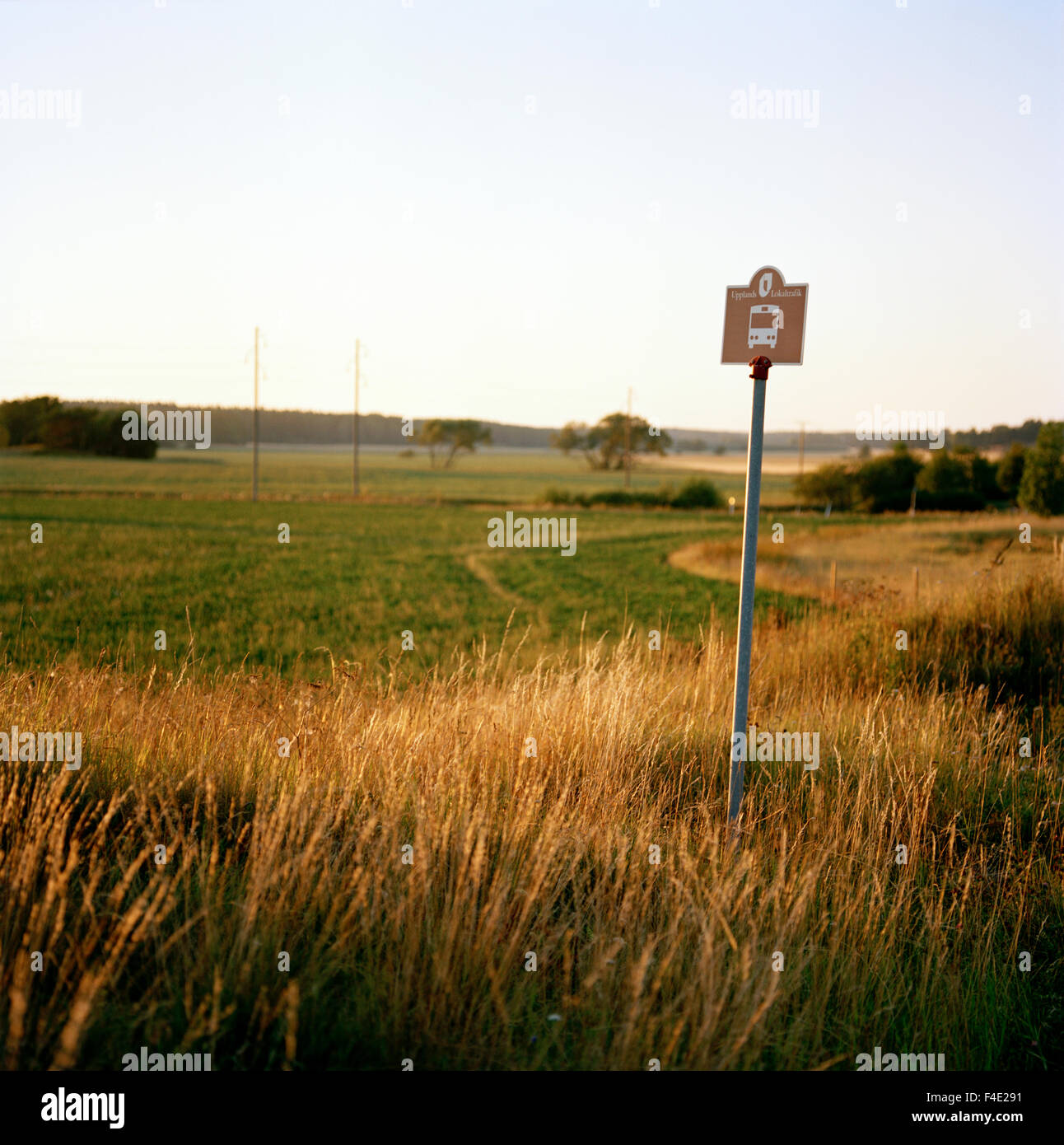 A bus stop by a country road, Sweden Stock Photo - Alamy