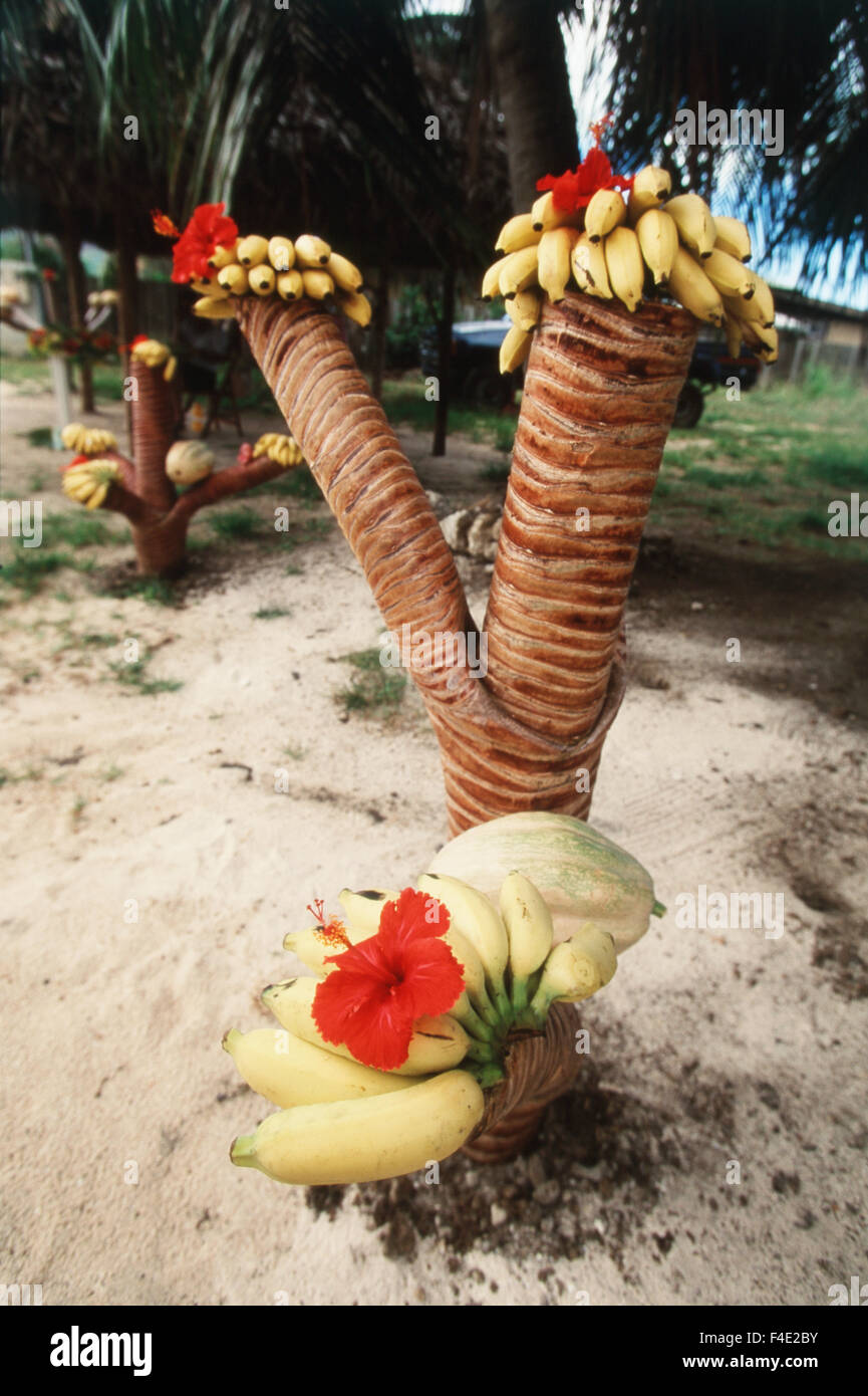 French Polynesia, Bora Bora, Vaitape, Fruit Seller's stand with flowers ...