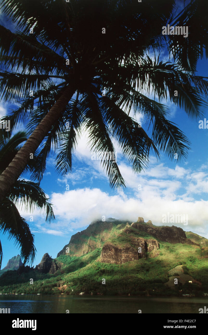 French Polynesia, Moorea, Green hillside and Cooks Bay. (Large format ...