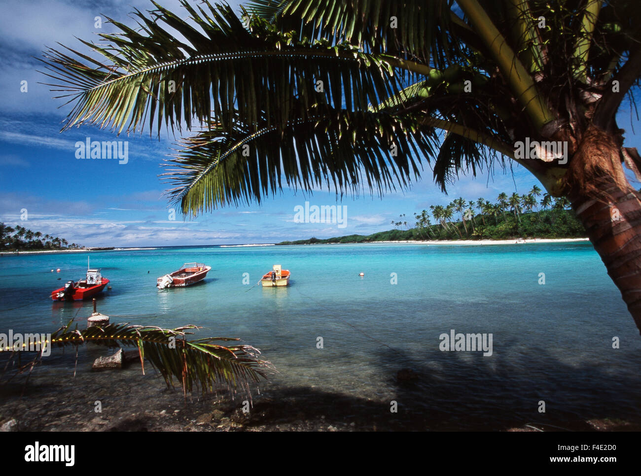 Walter cook hi-res stock photography and images - Alamy