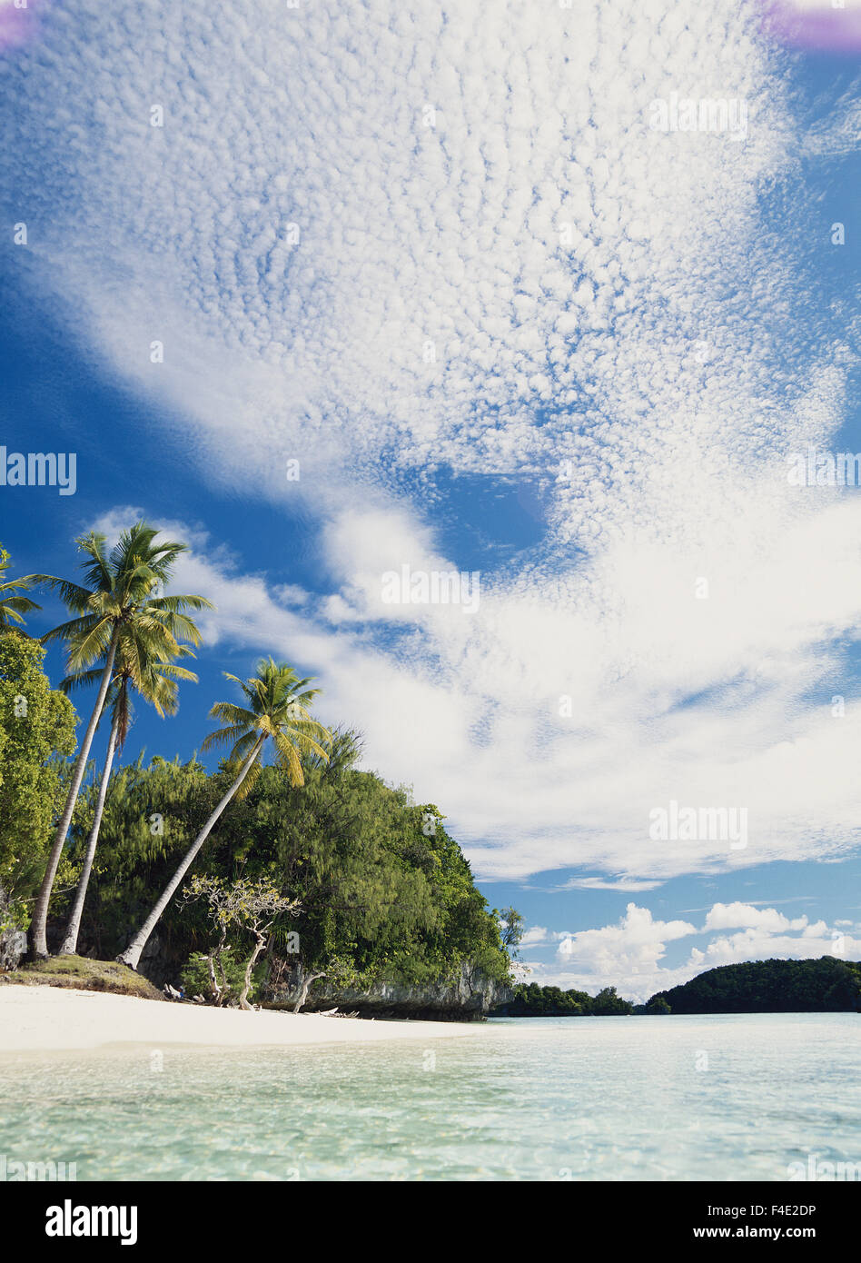 Palau, Honeymoon Island, Rock Islands, View of beach with palm trees ...