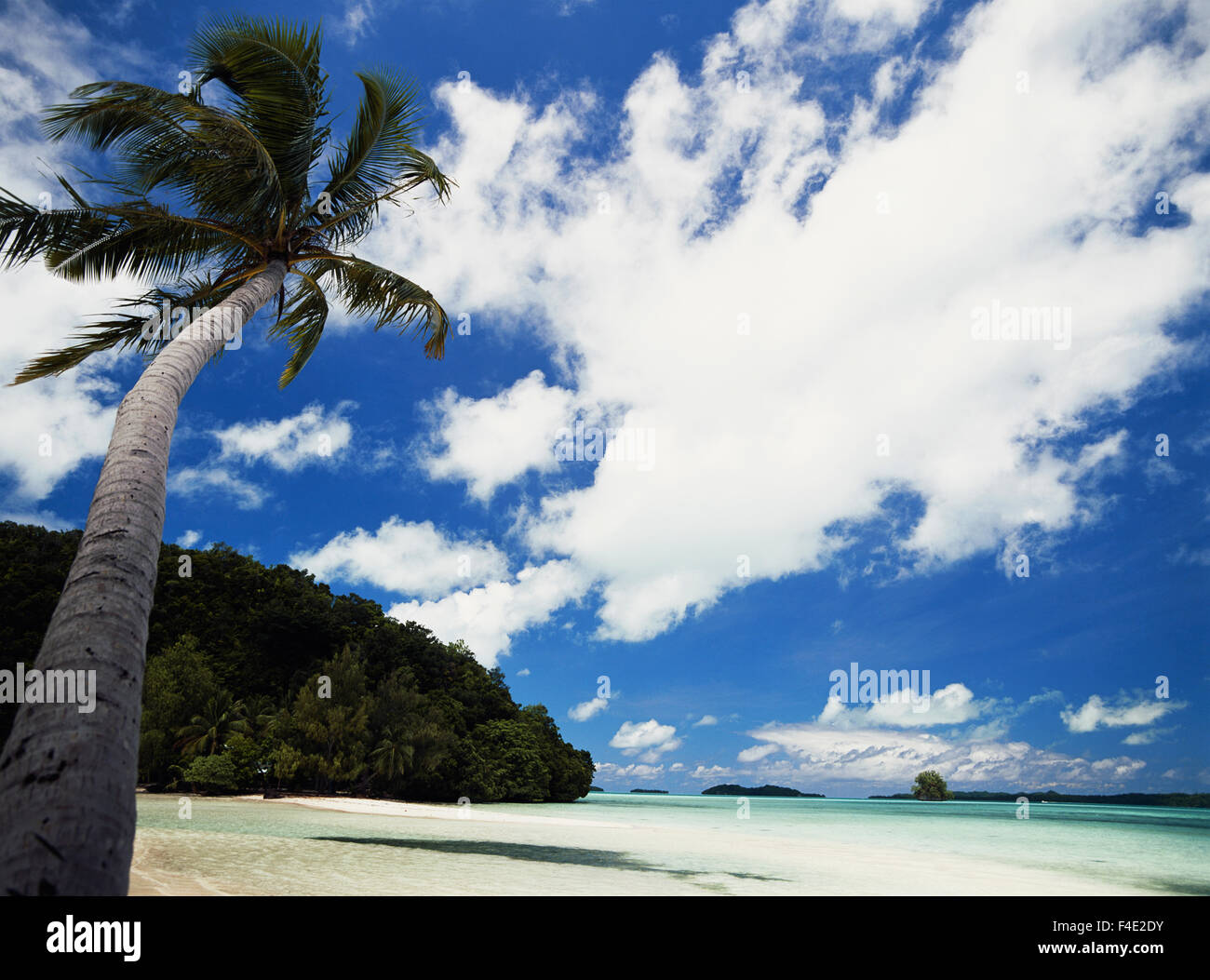 Palau, Rock Islands, View of Ngemelis Island with Overhanging Palm Tree ...