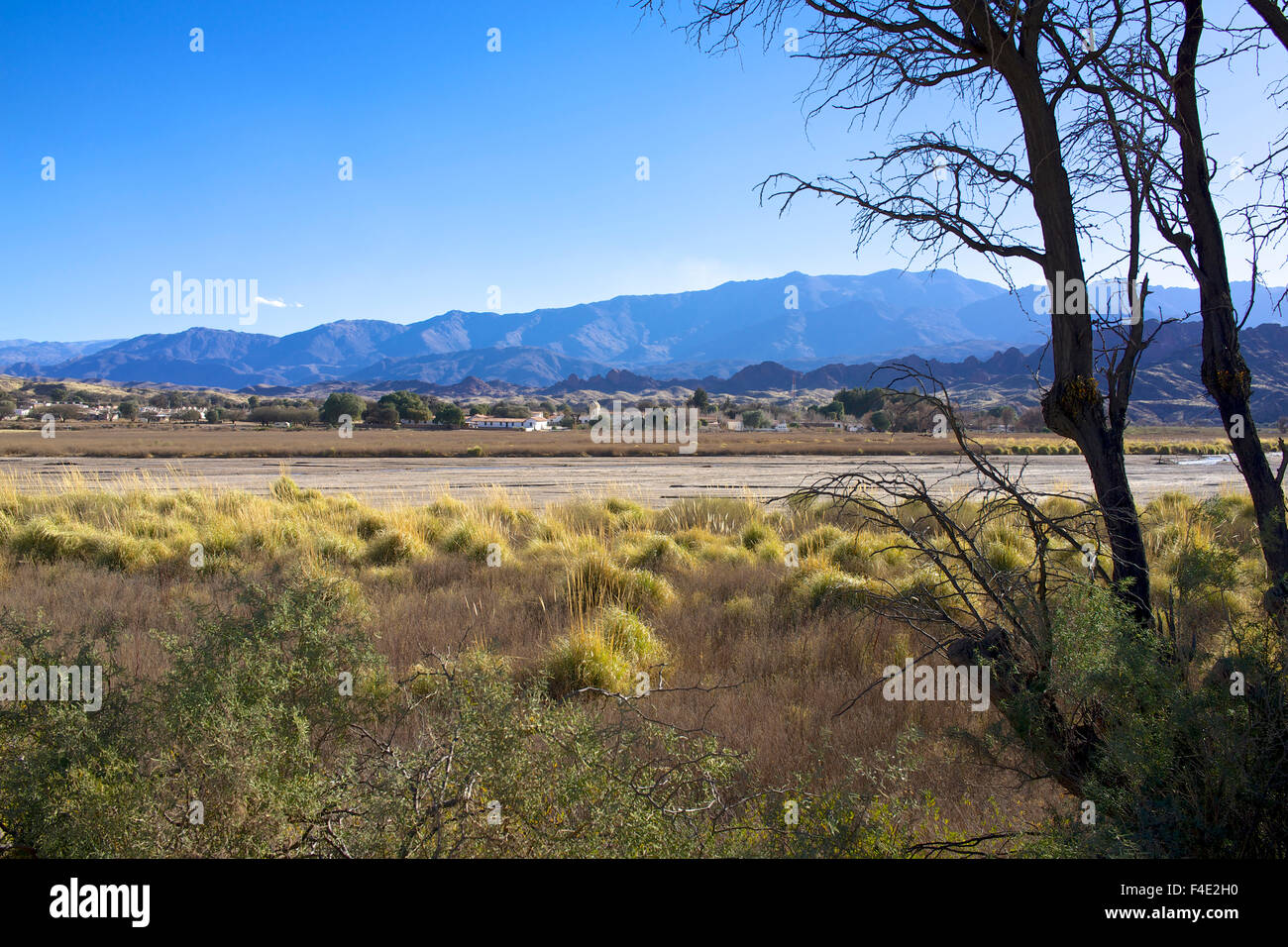 Argentina, Salta, Valles Calchaquies. The Calchaquies river area is ...