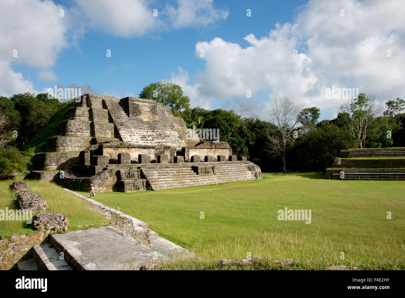 Belize, Altun Ha. Mayan archeological site and ruins (Large format ...