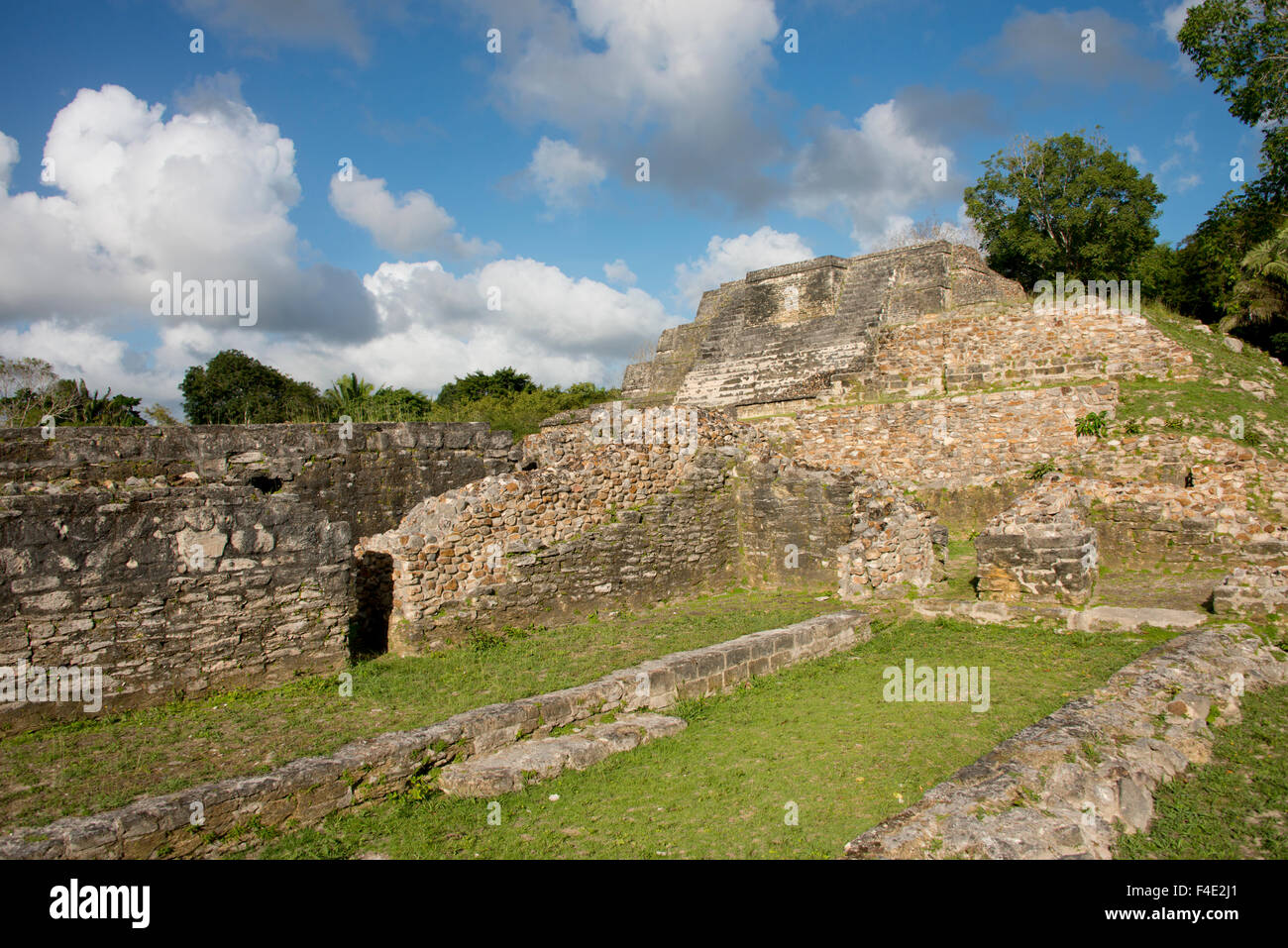 Belize, Altun Ha. Mayan archeological site and ruins (Large format ...