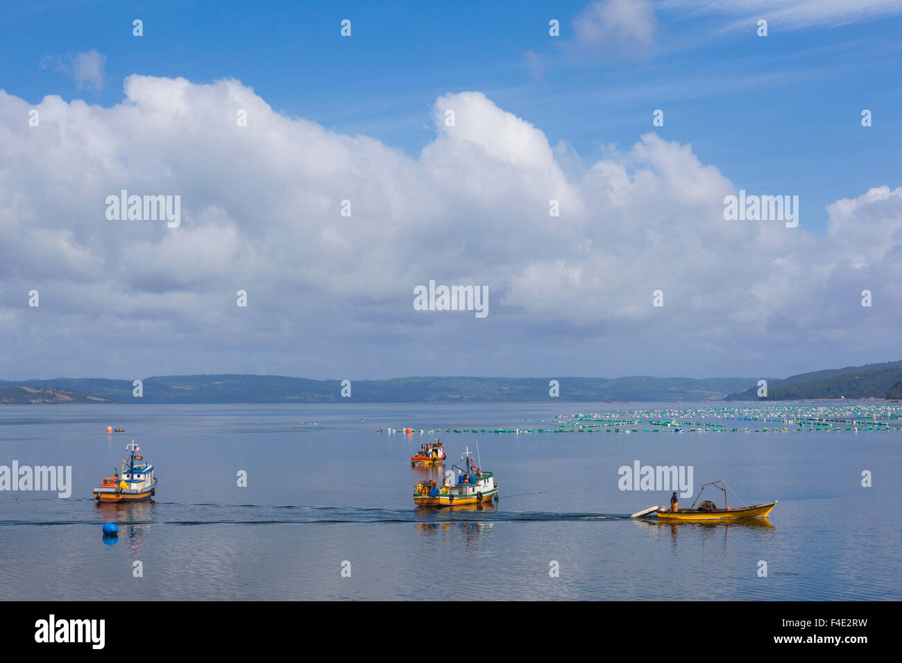 Chile, Chiloe Island, Queilen, town harbor Stock Photo - Alamy