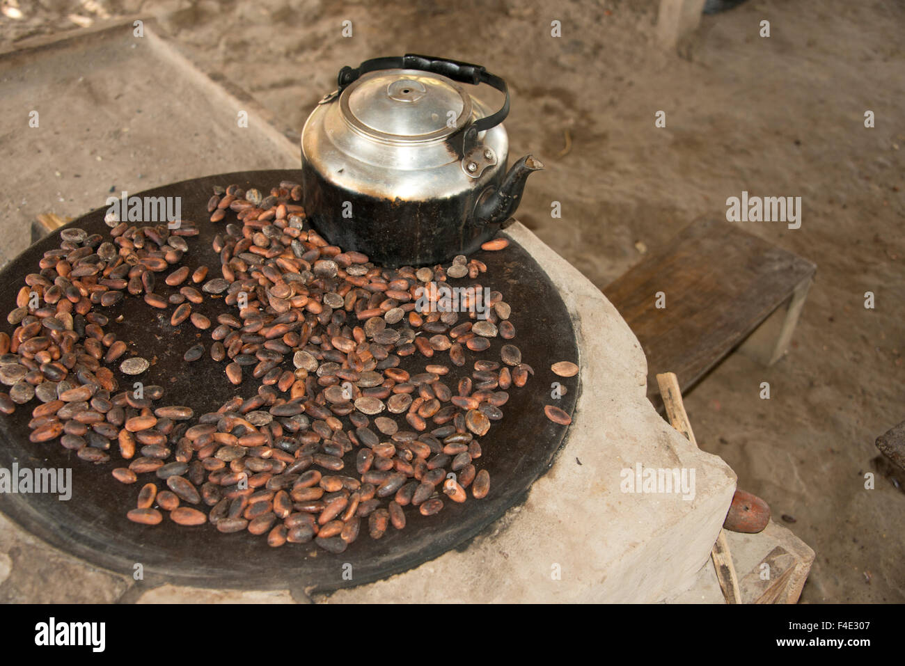 Belize, Punta Gorda, Columbia. Agouti Cacao Farm. Sustainable mountain ...