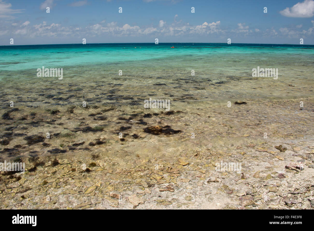 Belize, Stann Creek District near Placencia. Laughing Bird Caye ...